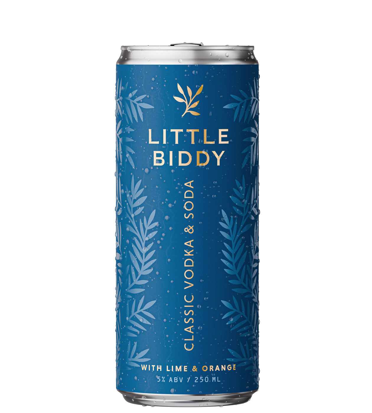 Little Biddy – Classic V&S with Lime & Orange, 250ml (6x4 Pack ...